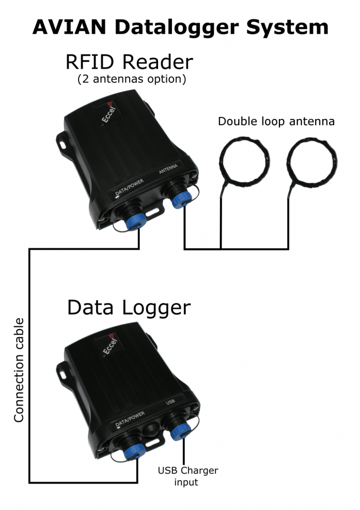 Bird PIT Tags - Eccel Technology - RFID made simple
